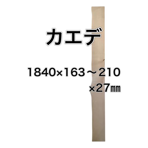 カエデ 片耳付き プレナー加工済みサイズ：1840×163〜210×27mm樹種：楓絹糸のような光沢があり、緻密で複雑な木目をしています。肌触りはなめらかで、材質は硬く粘り気があります。とても上質さが感じられる木材です。その丈夫さから、運動...
