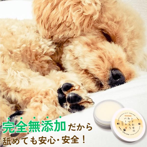 商品名 「シアわせのみつろうバーム」 犬 猫 肉球クリーム みつろう 完全無添加 獣医師監修 天然由来 国産 20g わんちゃんライフ・蜜蝋とシアバターを使用した100%自然由来の肉球クリームになります。・世界3大オイルのホホバオイル、椿オ...