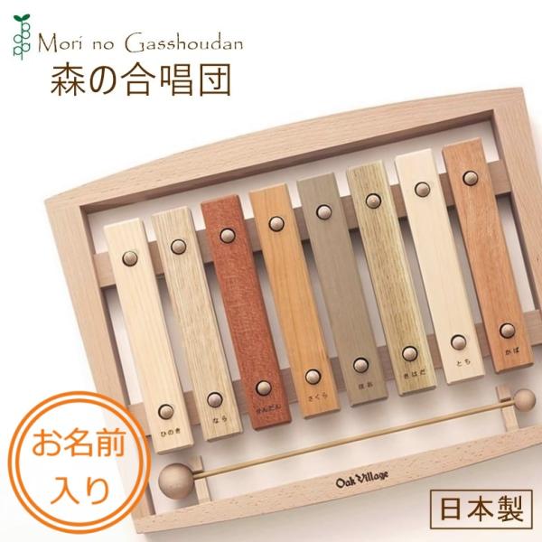 【※本商品はお名前入れ込みの商品です。お名前入れには発送まで10日程お時間を頂いております。】ちょっと不思議な木琴、それが森の合唱団です。音盤は全て同じ長さなのに、木の種類の違いでドレミをかなでてくれます。赤い木、白い木・・と様々な色があり...