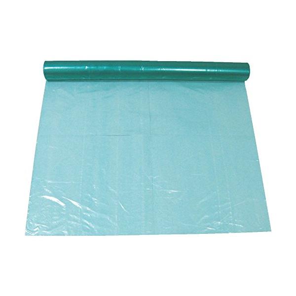 -/-/TNSS3110・パッケージ個数:1・幅(m):1・長さ(m):100・厚み(mm):0.03・色:グリーン・切断にはカッターが必要