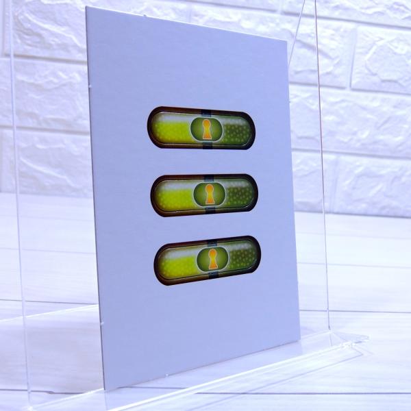 デザイナー: Manuel Rozoy原題： T.I.M.E Stories: Special Reward promoメーカー: Frosted Games, Space Cowboys言語: English, French, Germa...