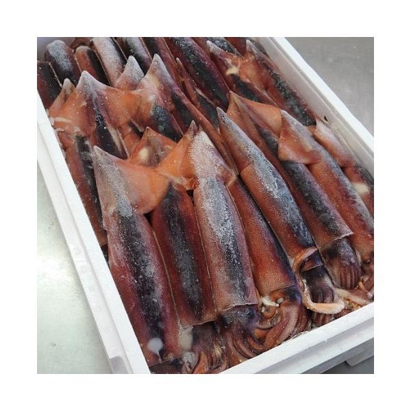 新鮮なままの凍結で お刺身用にはもちろん塩辛にも最適！！ 鮮度抜群！！ 青森県 八戸 三沢沖で獲れた生スルメイカを鮮度をそのままに冷凍しています。 鮮度抜群で生食出来ます。 お刺身、塩辛などに最適です。鮮度を保って凍ったままお届け致します。...