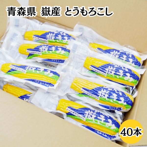 もはやフルーツ。青森・嶽きみの衝撃の甘さ朝採りの甘さをそのまま真空パックレンジで簡単、旬のごちそう「こんなに甘いとうもろこし、初めて…」青森県嶽産「嶽きみ」は、フルーツのような甘さが特徴です。■ フルーツのような甘さ昼夜の寒暖差が大きい嶽地...