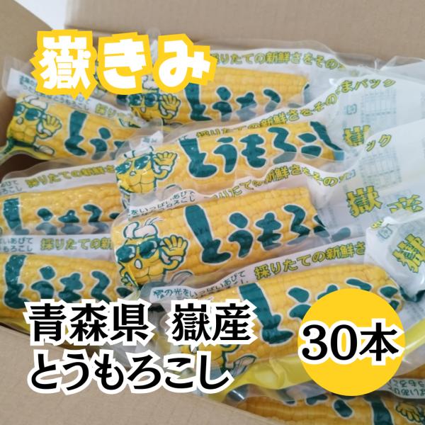 朝採り嶽きみ（とうもろこし）をその日のうちに真空パックレトルトに仕上げました。 そのままでもお召し上がりいただけますが、レンジや湯せんで温めて、お料理にもお使いいただけます。原材料とうもろこし（青森県産）、食塩内容量30本（1本あたり約25...