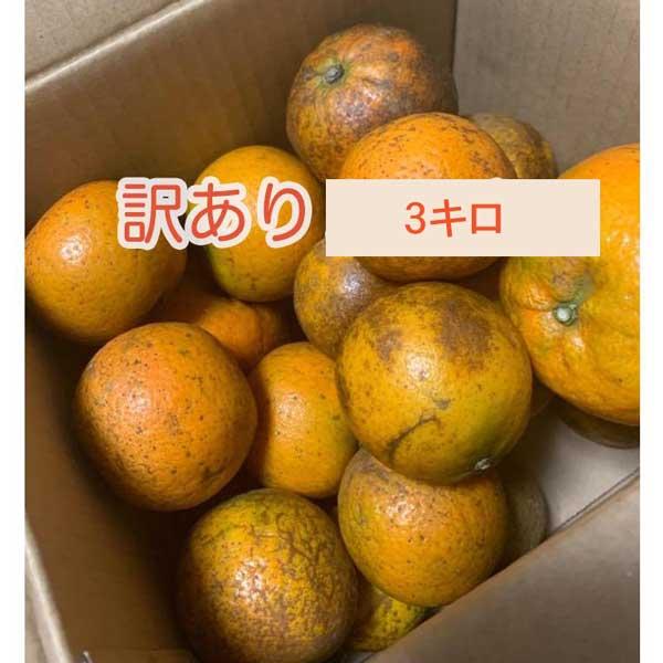 訳あり　表面がやながーきーで　見た目も訳ありですが、中身は甘いSからLサイズ　たっぷり約３キロ　　やんばる（山原）」とは「山々が連なり、鬱蒼とした常緑広葉樹の森が広がる地域です。やんばる育ちのタンカンは！ジューシーです！手で剥けるオレンジ　...