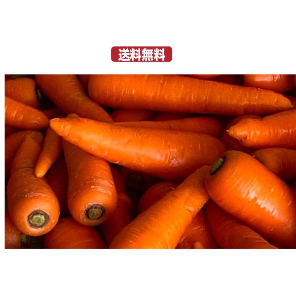 驚くほど甘い！・にんじん独特のにおい（にんじん臭い感じ）がないそのため、にんじん嫌いのこどもさんでも、このにんじんだけは食べられたというお声も！津堅ニンジンの甘さと栄養価は科学的にも証明されています。カロチンのほか、カルシウムなどのミネラル...