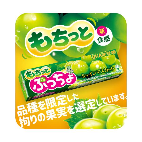 内容量：10粒×10個  もちっとした食感が楽しめるソフトキャンディ。通常のぷっちょより、もっちりとコシのある食感に仕上げました。 岡山県産シャインマスカットピューレ使用！品種を限定した拘りの果実やピューレを選定しています。噛めば噛むほど濃...
