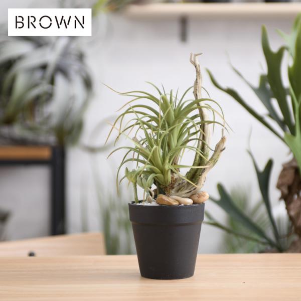 サイズ:全長：約27cmポット：高さ9×φ9.5cm材質:ビニール・プラスチック製生産国:中国※フェイクグリーンです。本物ではありません。※直射日光のあたる窓辺や、雨風の当たる屋外でのご使用はお避け下さい。※表記サイズは自然に置いた状態で計...