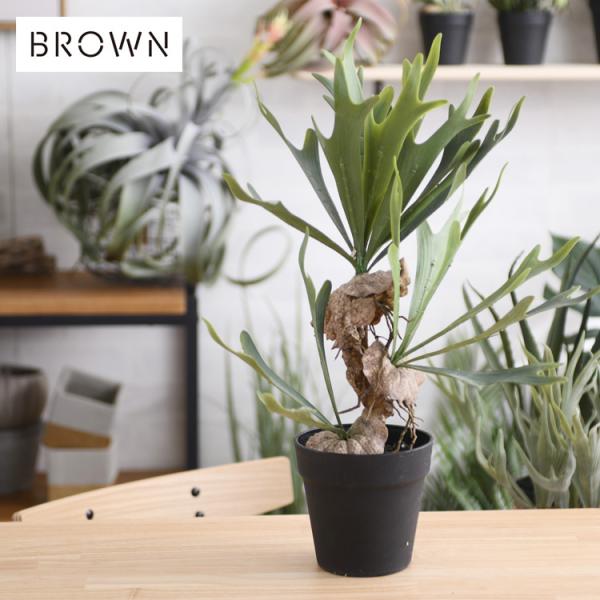 サイズ:全長：約52cmポット：高さ13×φ14cm材質:ビニール・プラスチック製生産国:中国※フェイクグリーンです。本物ではありません。※直射日光のあたる窓辺や、雨風の当たる屋外でのご使用はお避け下さい。※表記サイズは自然に置いた状態で計...