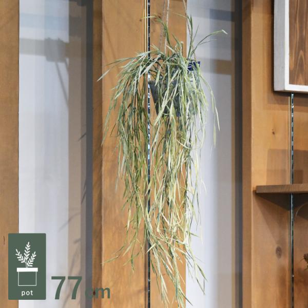 フェイクグリーンは植物をモチーフにして作られた人工観葉植物です。ハンギンググリーンは、鉢を置く場所がない場合や、縦の空間にアクセントをつけたい場合におすすめです。■リプサリス別名「森林サボテン」ともいわれるトゲがなく垂れるように育つ多肉植物...