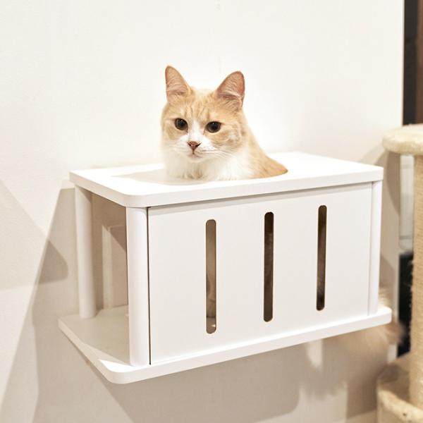 DIY感覚で簡単に取り付けできるキャットステップトンネル猫ちゃんの新しい隠れ家『キャットトンネル』。前後や上部の穴から、ぴょこっと顔が出せるかわいいアイテムです。箱の中や屋根付きのベッドが好きな猫ちゃんにオススメです。■商品サイズ:幅45×...