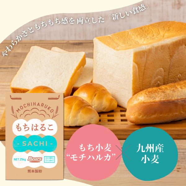 もち小麦「モチハルカ」と九州産小麦をベストブレンド！やわらかさともちもち感を両立した新しいパン用小麦粉です