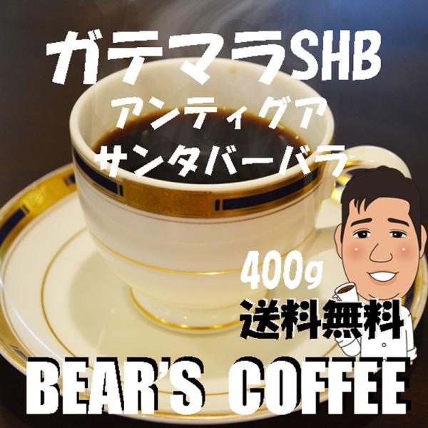 ★★★ガテマラアンティグア　サンタバーバラ★★★★ 生産地域 アンティグア ★標高 1,500-1,700ｍ ★品種 ブルボン種 ★精選方法 ウォッシュド ★収穫期 １月〜３月 ★農園名 サンタバーバラ ★農園主 Alfred Cristi...