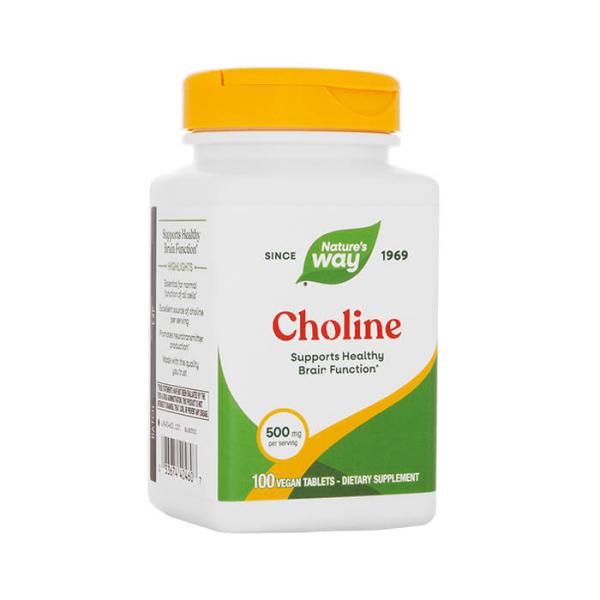 商品名　コリン500mg【商品説明】Nature's Way社のコリン（Choline）は、コリンを主成分とするサプリメントです。　≪内容量≫1本/100錠