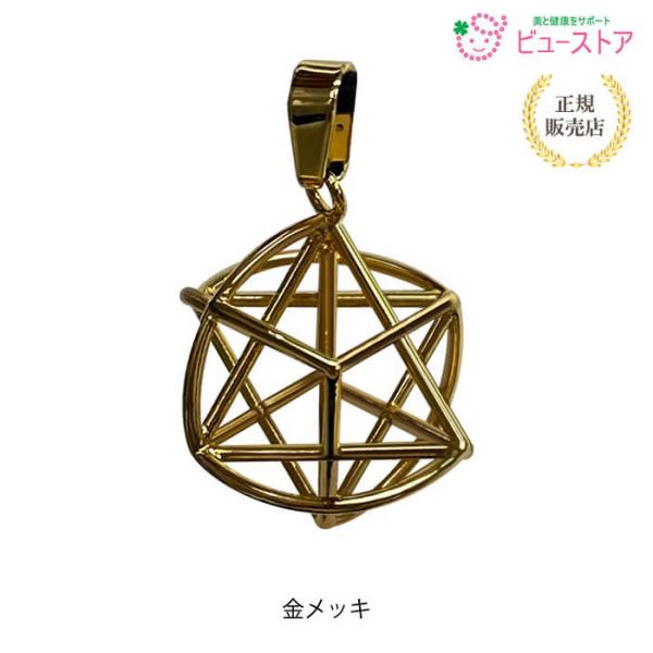 商品説明「サージカルステンレス」に「金メッキ加工」を施しております。サージカルステンレスは「SUS316L」を使用。 金メッキ加工により、外観も美しく、耐食性に優れ、金属アレルギーも起こしにくいネックレストップです。※全ての方にアレルギーが...