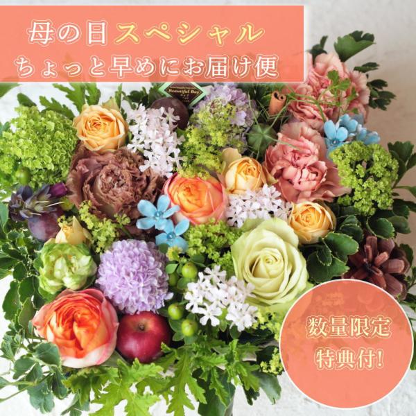 〜 母の日スペシャルちょっと早めにお届け便 〜ワンサイズ上のさらに豪華なフラワーケーキ「 ブラウニー 」4月28日（火）〜5月5日（火）のちょっと早めにお届けするかわりに、スペシャルな特典がついた数量限定商品です！サイズ：　アレンジ　約28...