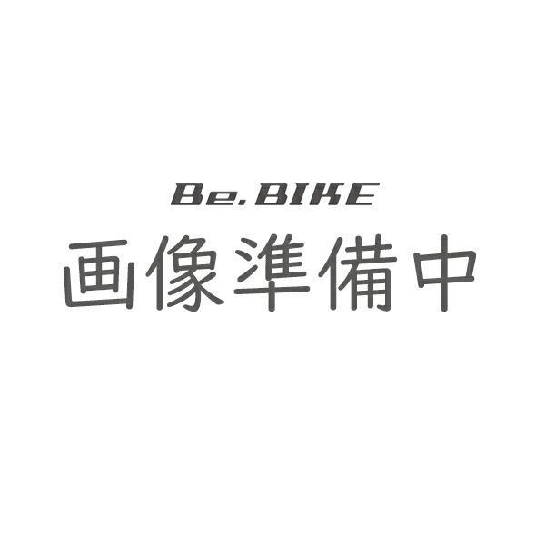 シマノ SL-5S30 A  シルバー 内装5S レボシフト  CJ-8S20対応 付属/1700mmブラックシフトケーブル,,インナー固定ボルトユニット※オフセットBL向け ASL5S30A170LL 自転車 コンポーネント NEXUS