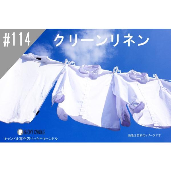 キャンドル専用にブレンドされた香料で、ワックスに対して添加すると簡単にアロマキャンドルを制作することが出来ます。香料名：クリーンタイプ香料イメージ：洗いたての洗濯物のようなすっきりと爽やかな香り内容量：50g使用方法ワックスに対して6%を目...