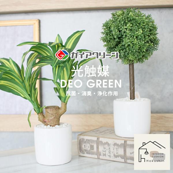 ■商品名：光触媒加工フェイクグリーン Deogreen■サイズ：高さ 約28cm■鉢素材：陶器■ご注意：不安定な棚の上や小さなお子様の手の届くところには設置しないでください。※商品の落下の恐れや誤飲の原因となります。※商品画像につきまして、...