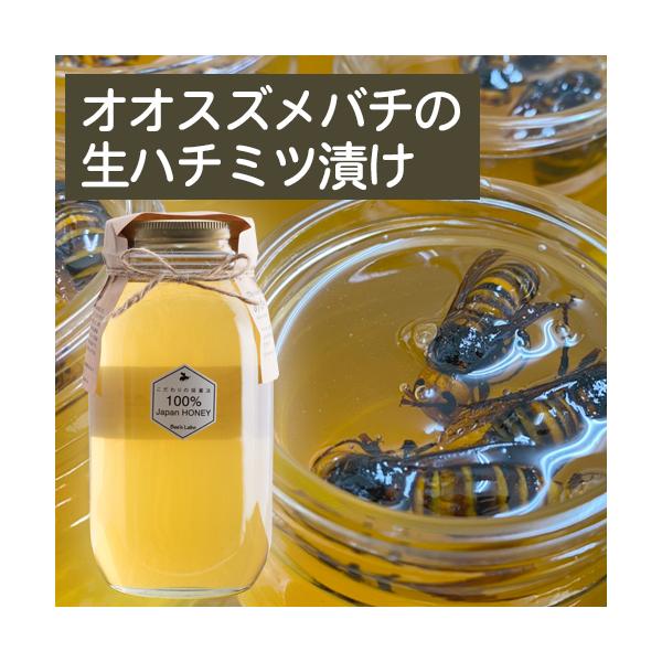 【容量】1000ｇ（1kg）生きたまま捕獲したオオスズメバチを生ハチミツに漬け込みました。オオスズメバチは古来より家伝薬として利用されていた歴史があります。日頃の健康維持や疲労回復などにお役立てください。＜1日大さじ1杯を目安にお召し上がり...