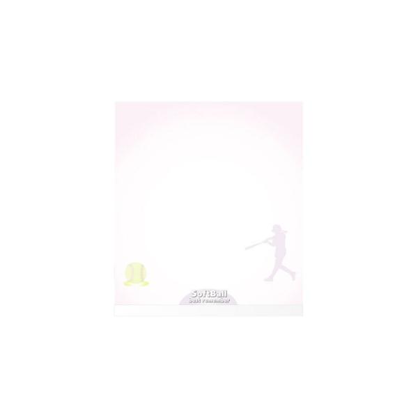 水性、油性、ボールペンにも、にじまない書き易い色紙。クリアフィルムパック ( 汚れを防止、色紙の劣化も防ぐ保存パック。ストレータープロテクト ( 色紙の反り曲がりを防止 )素材：スチロール樹脂、 PVCサイズ：標準サイズ (272 × 24...