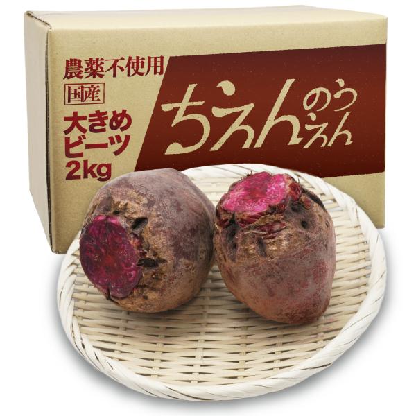 神奈川県産ビーツ【大きめ】2kgになります。直径１０cmほどの大きさのものが3〜5個入っています。生でも美味しい当農園のビーツ。都内高級スーパーなどでも販売しており、皆様から大変ご好評頂いております。 湘南の太陽と潮風をたっぷり浴びた新鮮な...