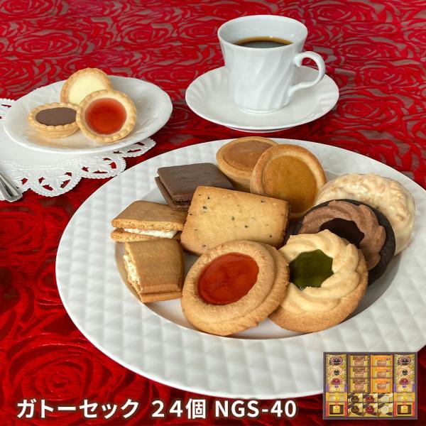 ガトーセック 24個 NGS-40