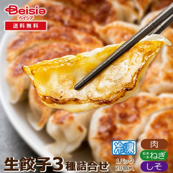 信栄食品 人気の定番餃子3種詰合せ（生餃子）計120個入