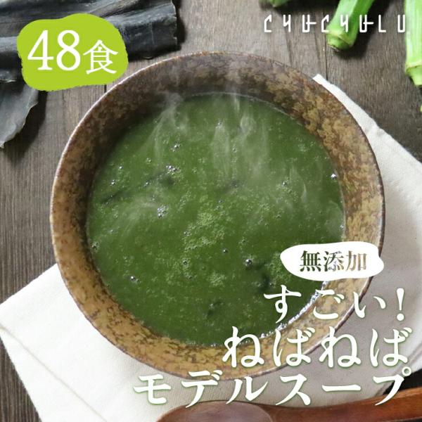 ぷるるん姫 すごいねばねばモデルスープ 48食 チュチュル | 食物繊維 スープ 美容 スープ ダイエット スープ 健康 食品 デトックス 置き換えダイエット 低カロリー 低糖質 スープ