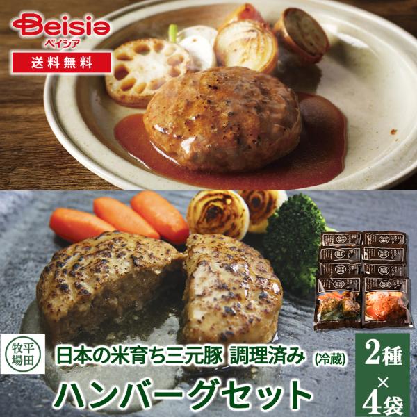 平田牧場 日本の米育ち三元豚調理済みハンバーグセット(冷蔵）_CNS25-3