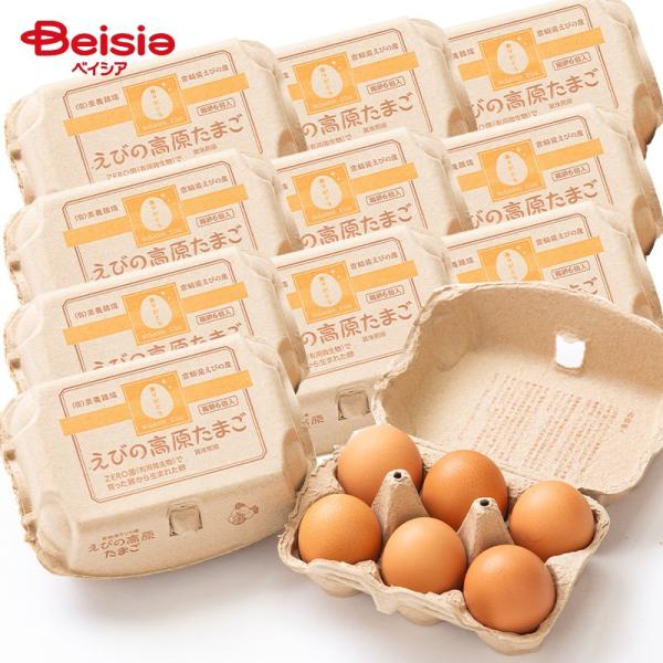 東養鶏場 えびの高原卵 ありがとうパック(紙) 6個入×12パック フリーサイズ 割れ補償3個含む 冷蔵