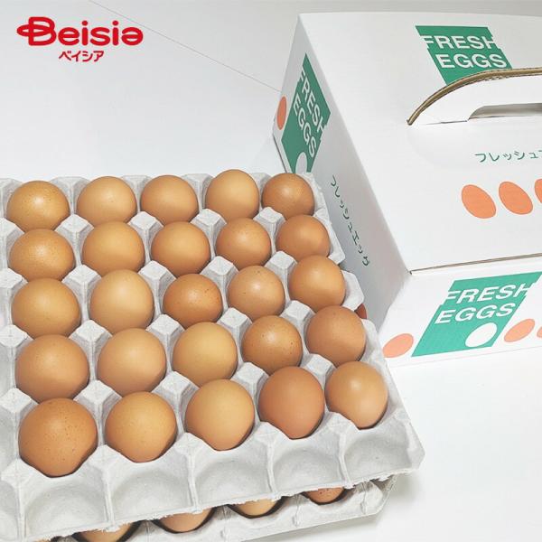 東養鶏場 えびの高原卵 贈答用 50個入り