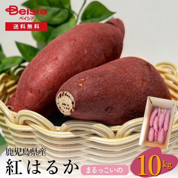 鹿児島県産紅はるか（まるっこいの）10kg