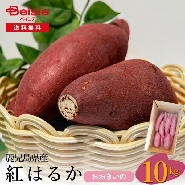 鹿児島県産紅はるか（おおきいの）10kg
