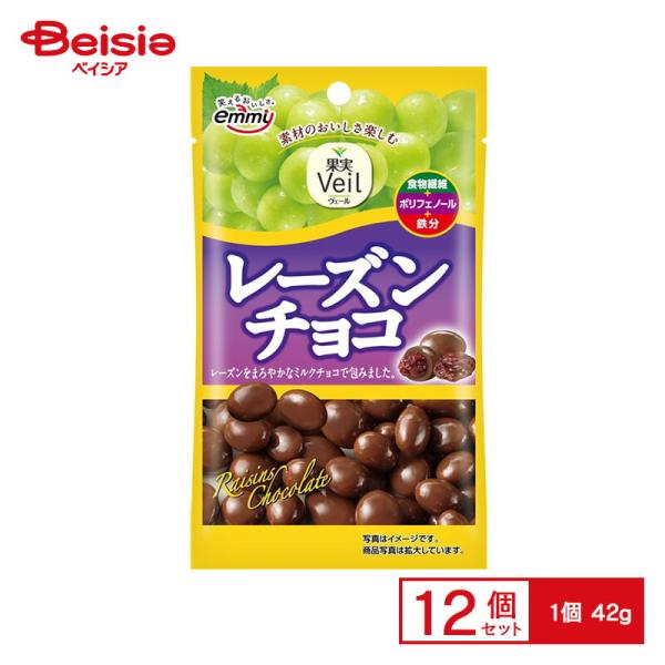 正栄デリシィ レーズンチョコ 42g×12個