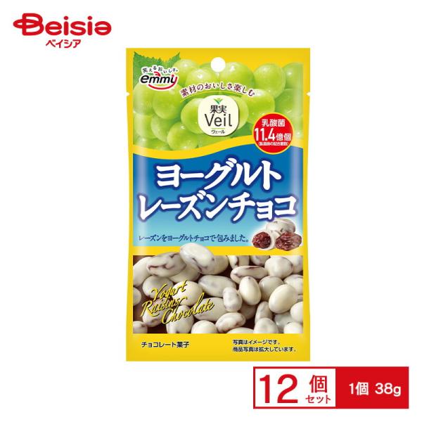 正栄デリシィ ヨーグルトレーズンチョコ 38g×12個