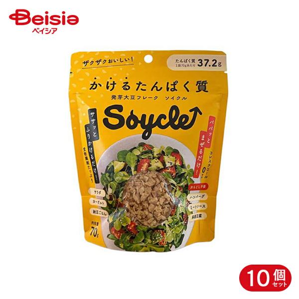 爆買 上向き SOYCLE発芽大豆フレーク 70g 10個
