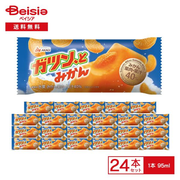 赤城乳業 ガツン、と みかん 95ml×24本