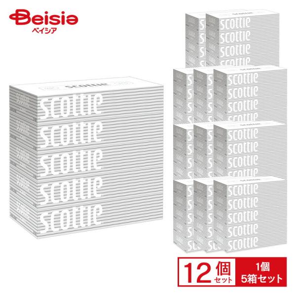スコッティ ティッシュペーパー 200組5箱×12パック(60箱)