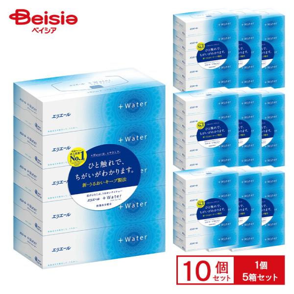 大王製紙 エリエール ＋Water 180組(360枚)5パック×10個