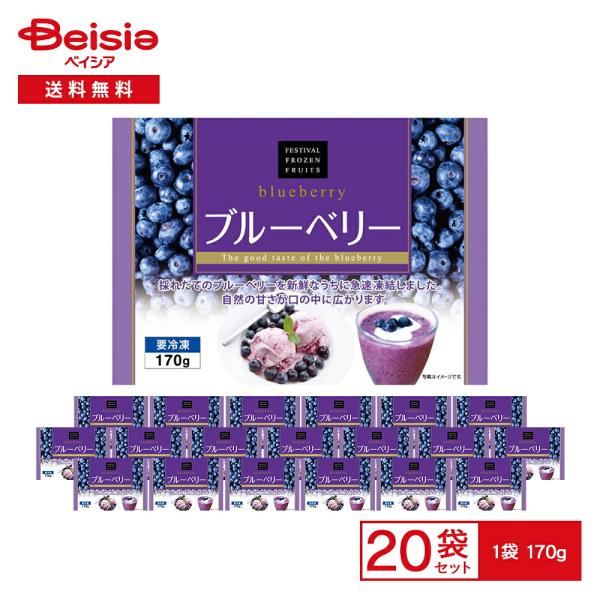 爆買 富士通商 ブルーベリー 170g×20袋