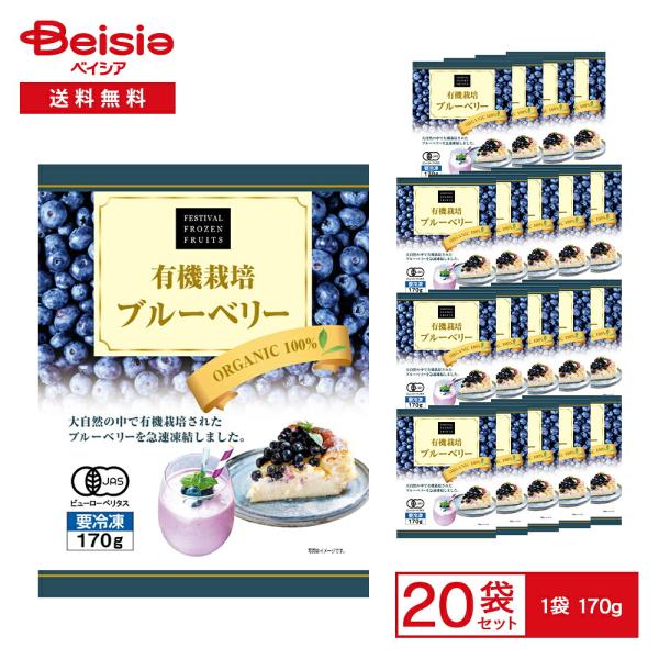 爆買 富士通商 有機栽培 ブルーベリー 170g×20袋