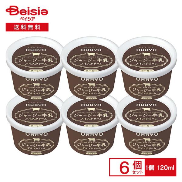 オハヨー乳業 ジャージー牛乳アイスクリーム コーヒー 120ml×6個　【 爆買 】