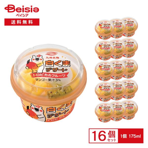 丸永製菓 白くまデザートトロピカルフルーツ 175ml×16個