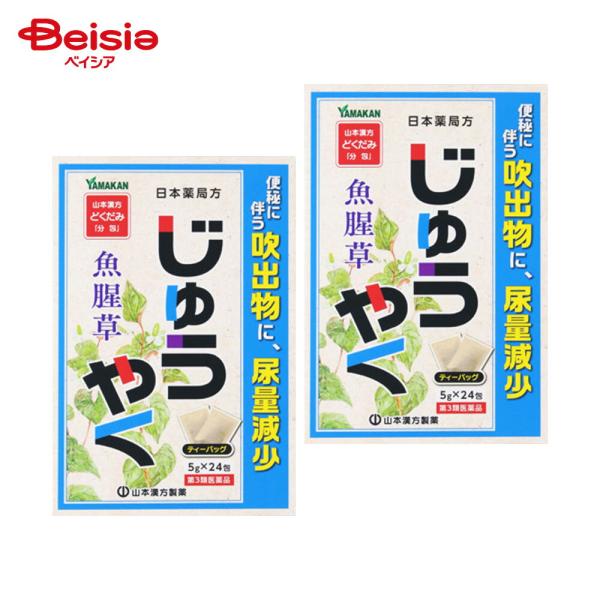 【第3類医薬品】日本薬局方 ジュウヤク 5g×24 2個