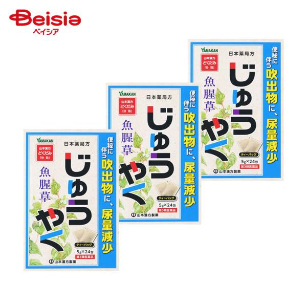 【第3類医薬品】日本薬局方 ジュウヤク 5g×24 3個
