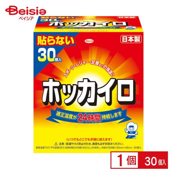 興和 ホッカイロ 貼らないタイプ レギュラー30個 カイロ