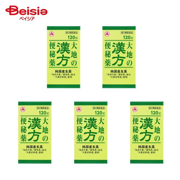 【第2類医薬品】大地の漢方便秘薬 120錠 5個