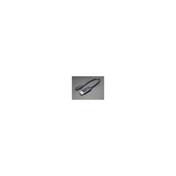 Display Port→mini Display Port