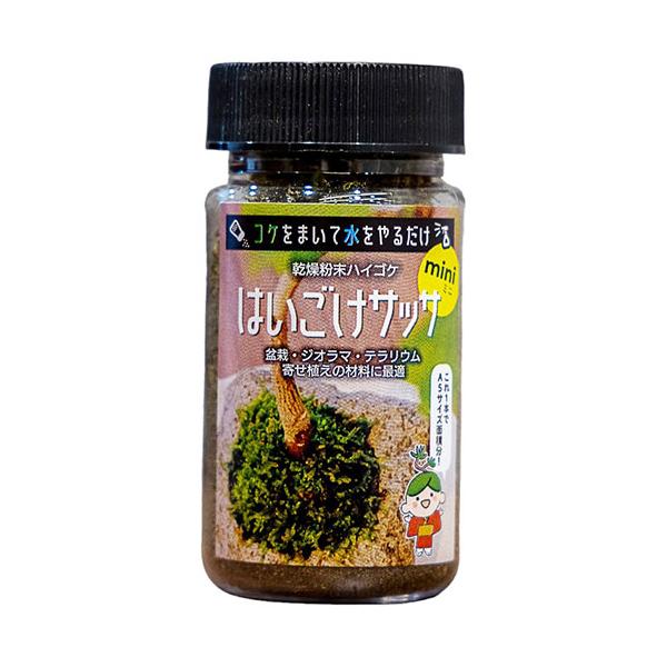 ふりかけのようにサッまいて水をやるだけ
